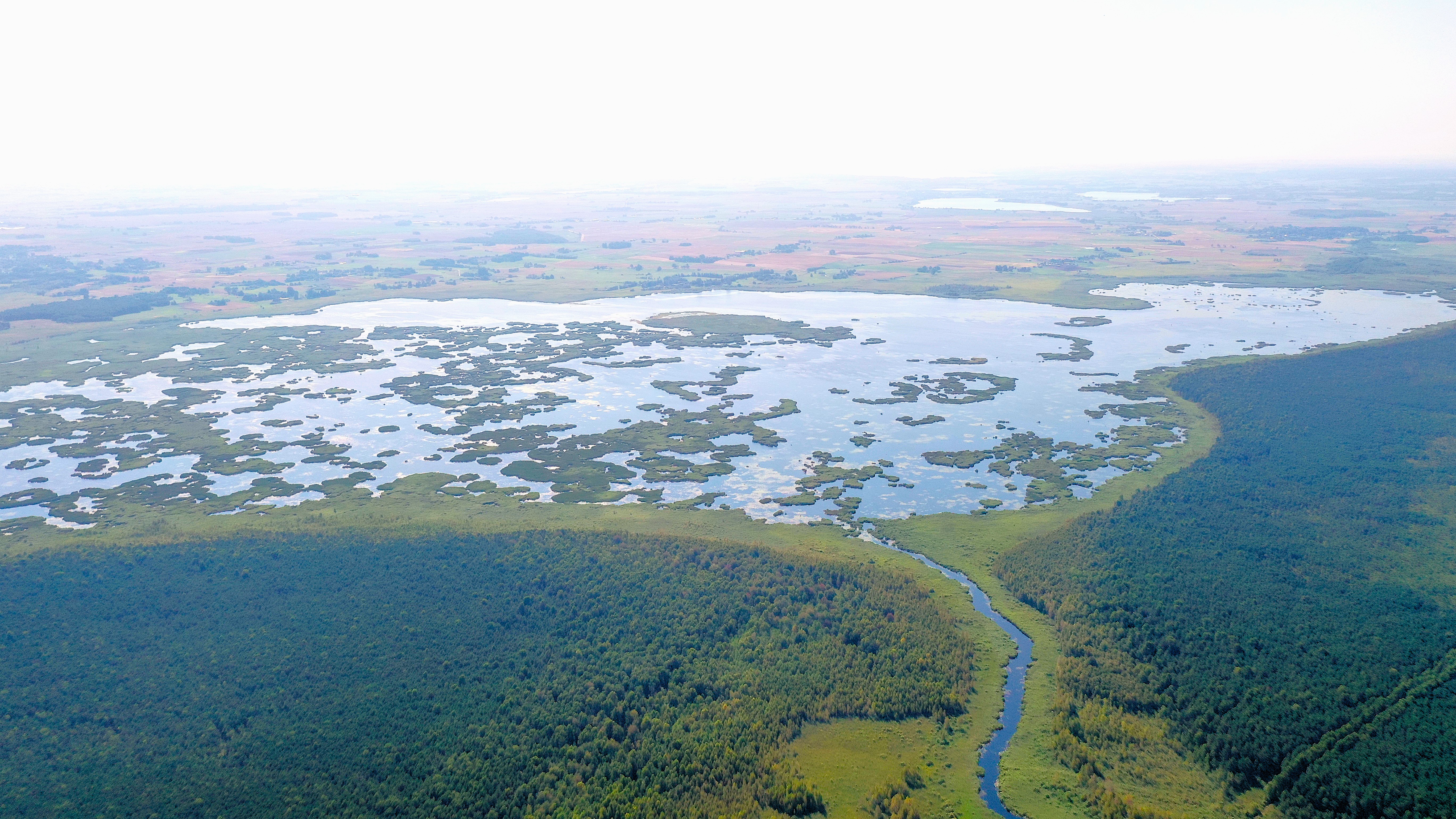 Reserves - Dzūkijos-Suvalkijos saugomų teritorijų direkcija